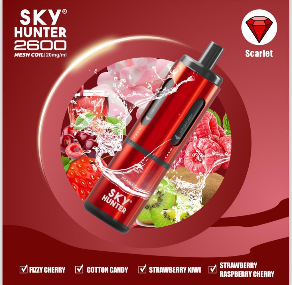4 in 1 Sky Hunter 2600 Puffs Disposable Vape Pod Kit (Pack of 5)